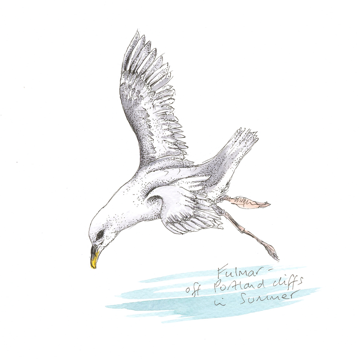 Sea Shed - Artwork by Jenny Hunt - Dorchester, Dorset